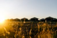 Discover Longreach Luxury Glamping - Mitchell Grass Retreat
